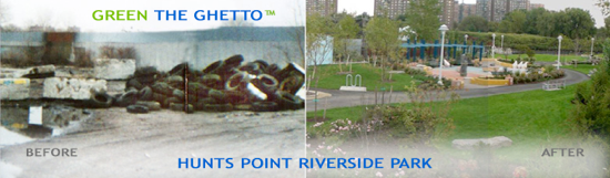 Cultivate Diversity: Ecosystems and Communities Will Both Thrive