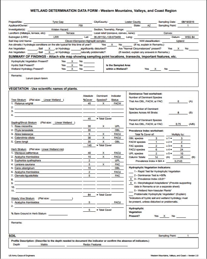 How to Automate USACE Wetland Forms and Agency Reports