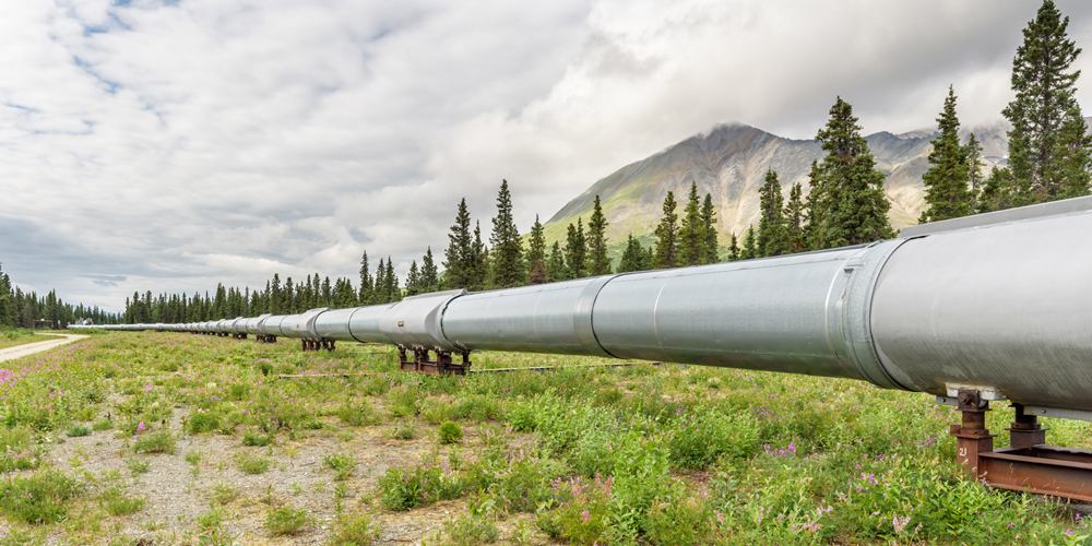 Environmental Data Management Software